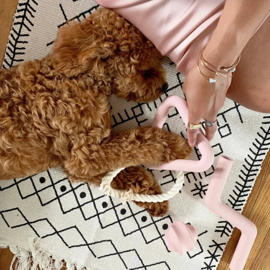 Welldog: Die perfekte Balance aus Design & Funktion für Deinen Hund ...