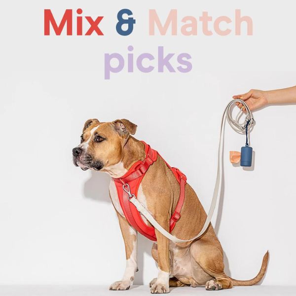 Welldog: Die perfekte Balance aus Design & Funktion für Deinen Hund ...