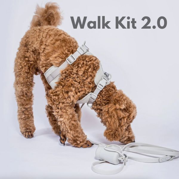 Welldog Exklusives Wasserfestes Walk Kit – Stil und Komfort für Hund ...